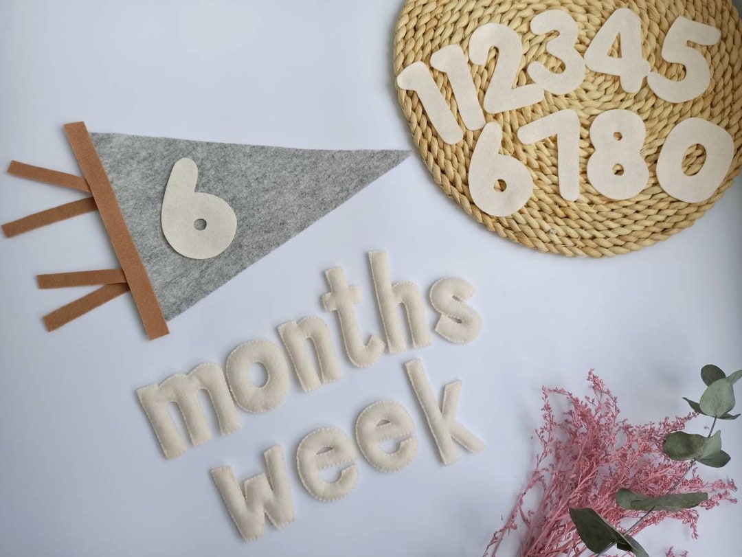 Felt Milestone Pennant, Gray Monthly Milestone Numbers, Gift for ...