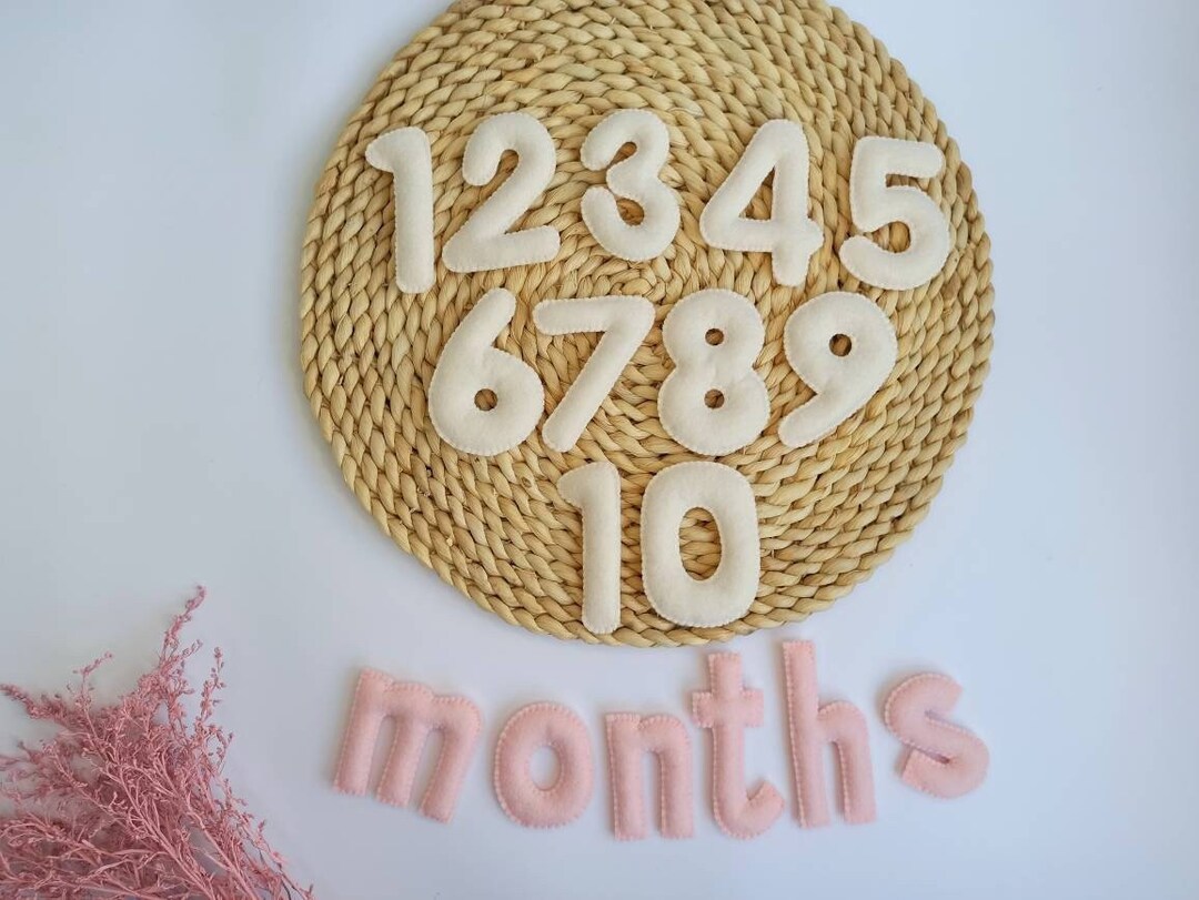 Baby Monthly Milestone, Felt Milestone Numbers, Baby Announcement Photo ...