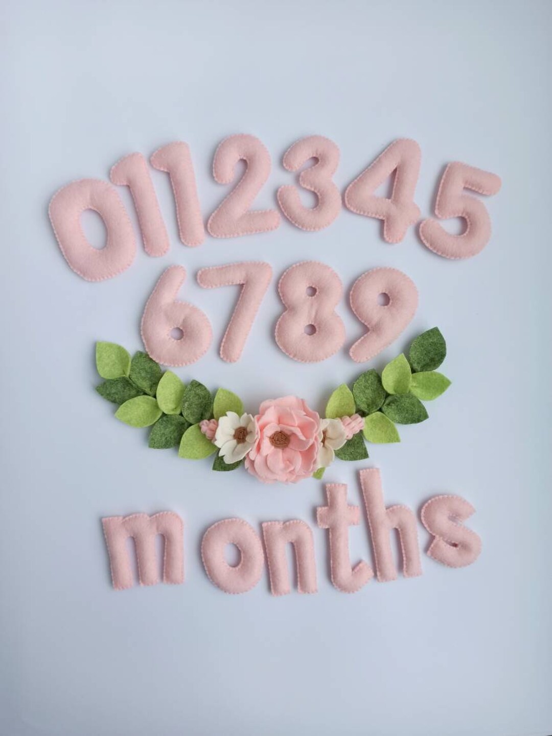 Milestone Numbers, Baby Girl Milestone Sign, Monthly Milestone Marker ...
