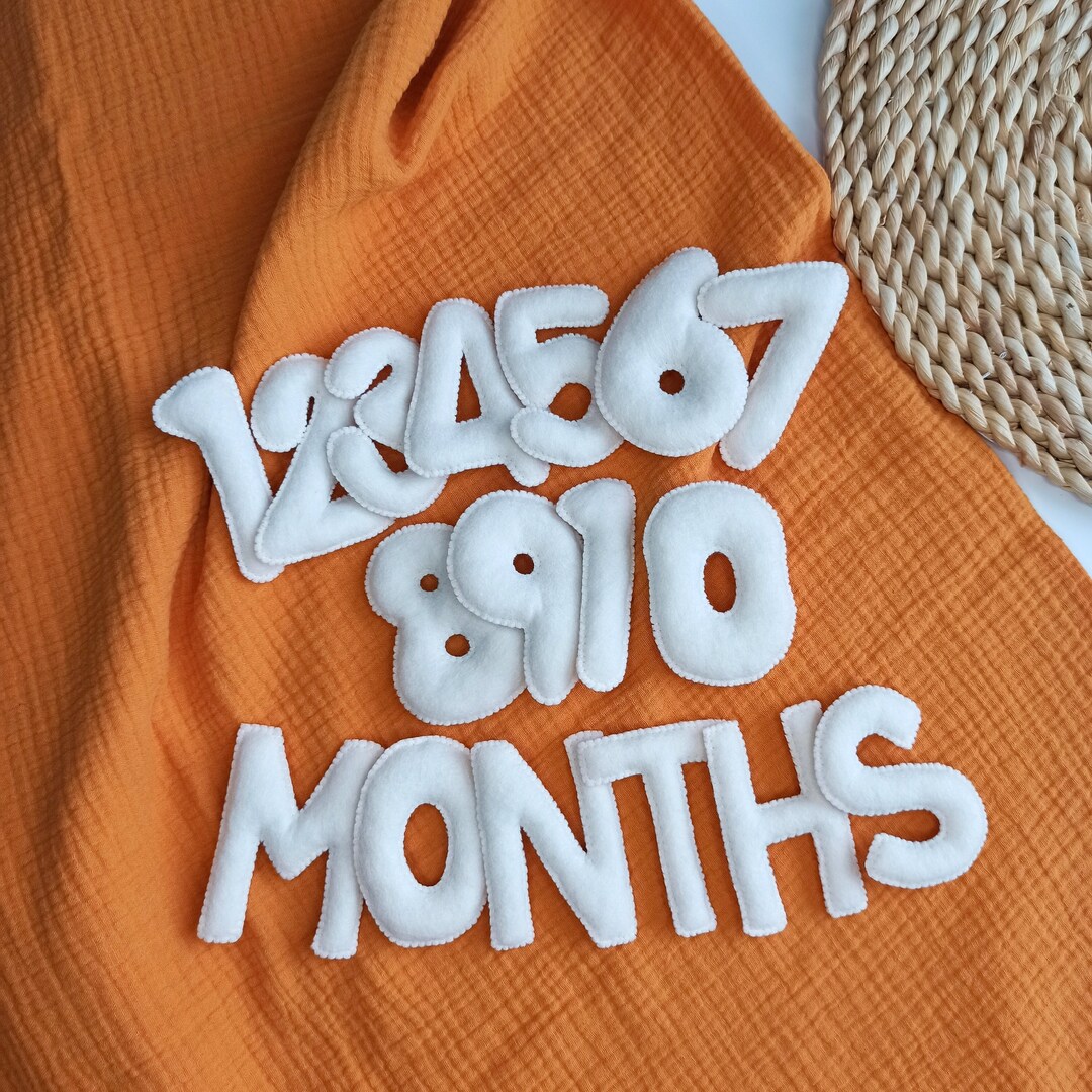Baby Monthly Milestone, Felt Milestone Numbers, Baby Shower Gift - Etsy