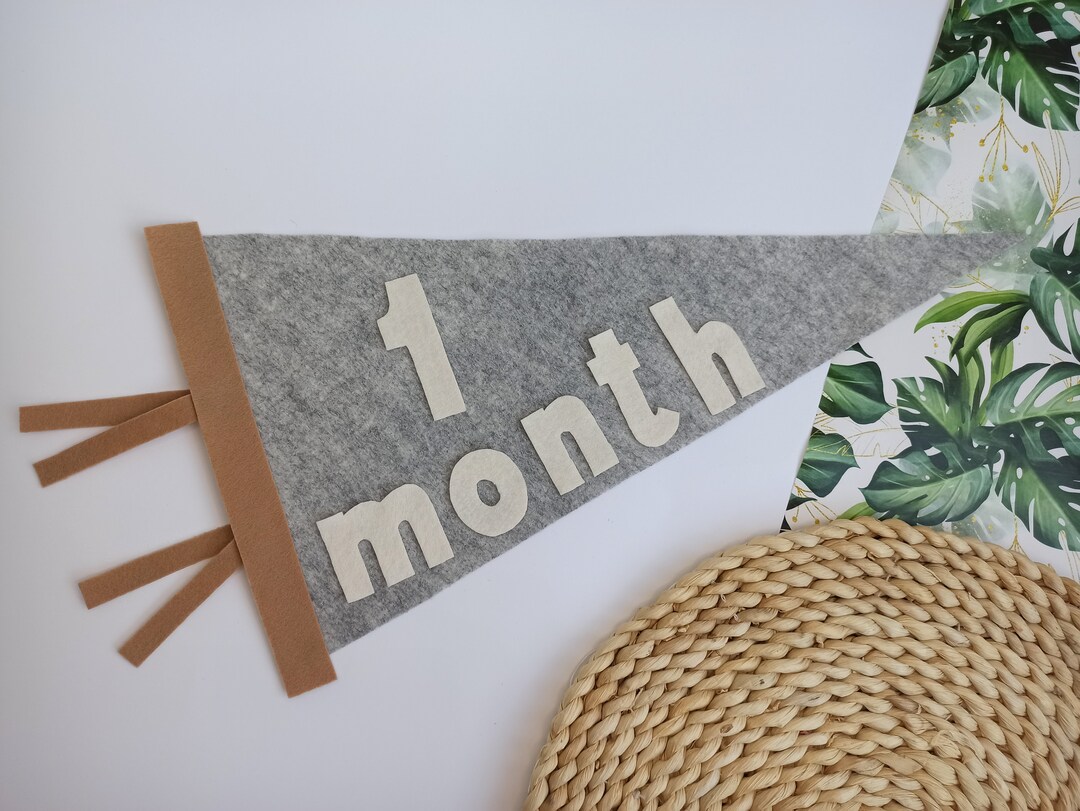 Monthly Milestone Numbers for Baby Photo, Gray Milestone Pennant - Etsy