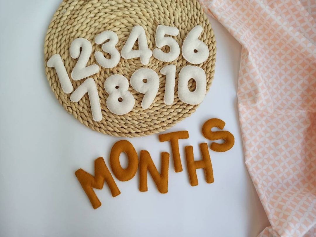Baby Monthly Milestone, Felt Milestone Numbers - Etsy