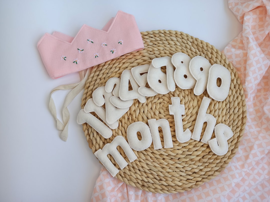 Felt Milestone Numbers, Baby Monthly Milestone, Countdown Numbers, Baby ...