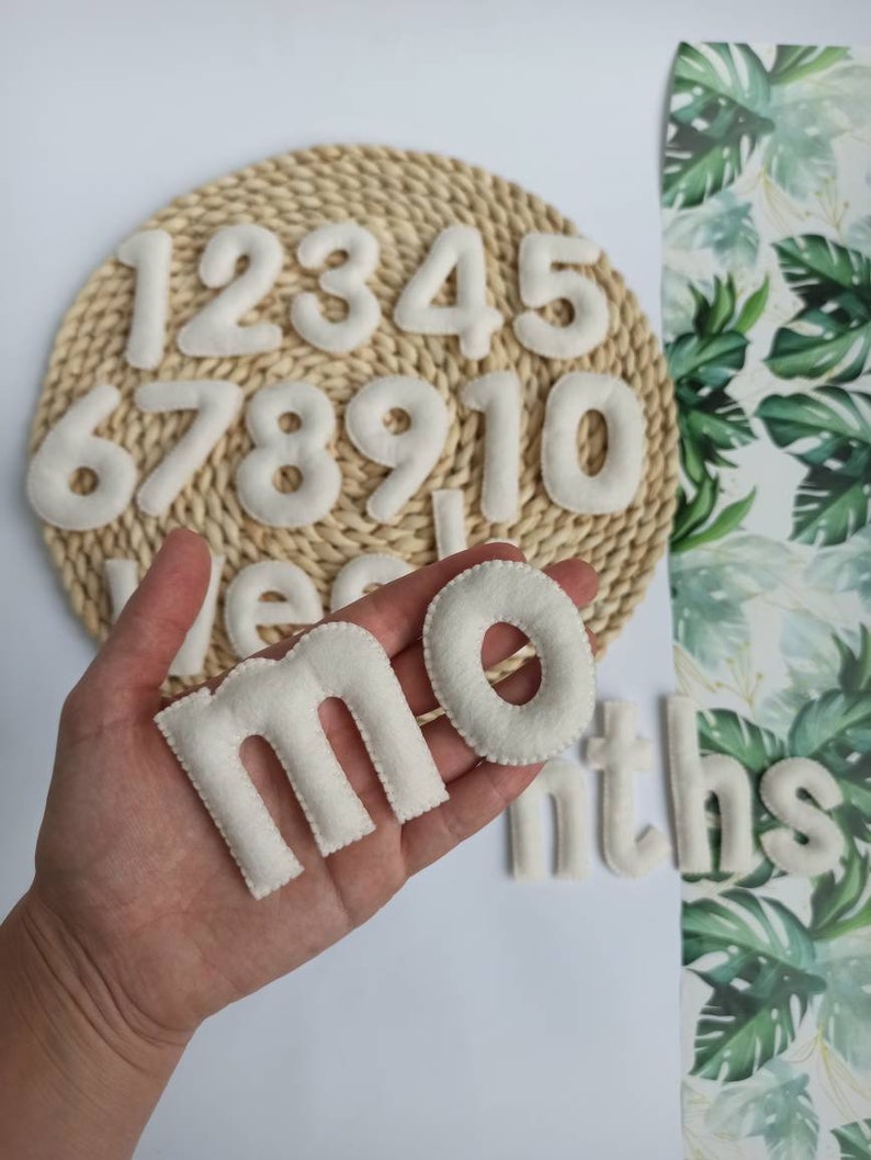 Felt Baby Milestone Numbers Baby Bump Countdown Numbers | Etsy