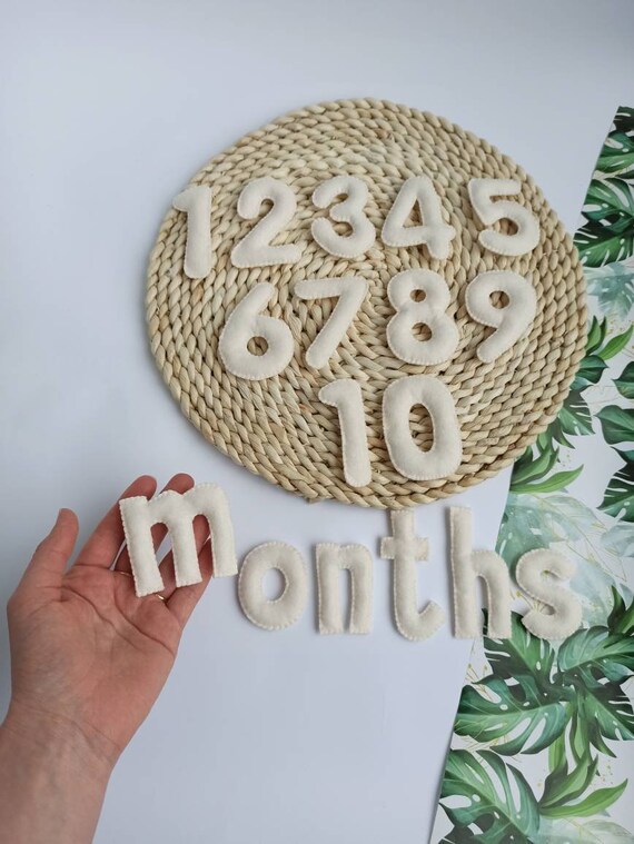 Felt Baby Milestone Numbers Baby Bump Countdown Numbers | Etsy