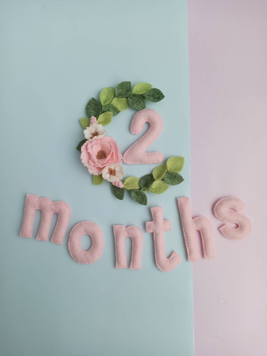 Milestone Numbers, Baby Girl Milestone Sign, Monthly Milestone Marker ...