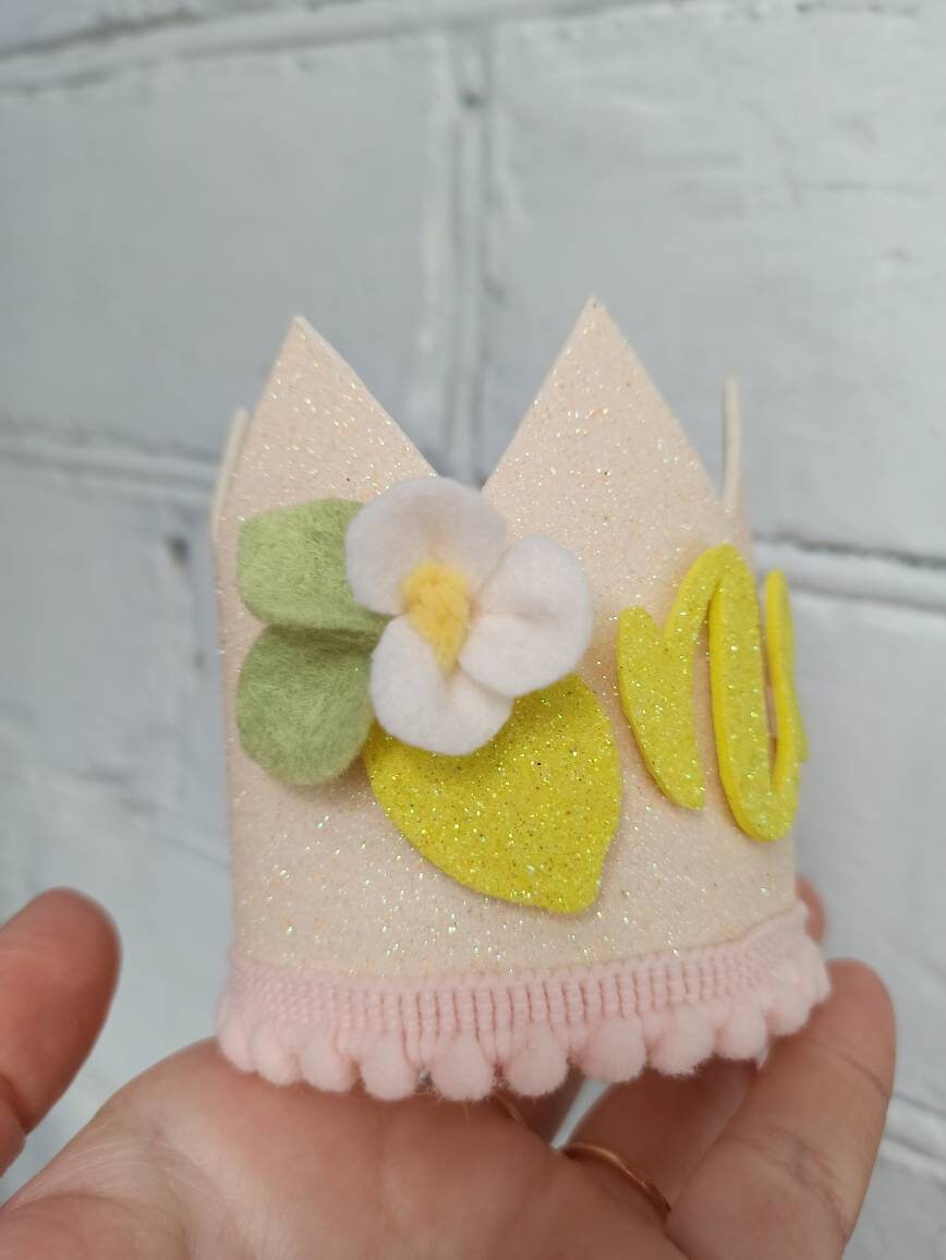 Lemonade Birthday Crown 1st Birthday Hat With Lemon Sunshine - Etsy