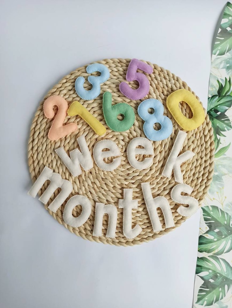 Baby Milestone Numbers, Felt Milestone Sign Baby, Baby 1st Weeks Photo ...