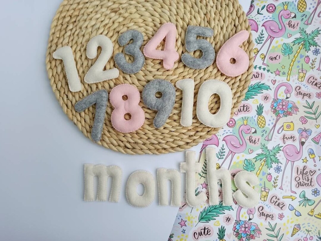 Monthly Milestone Numbers for Baby Girl, Gift for Newborn, Felt ...