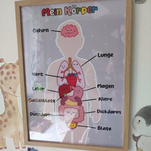 German Body Worksheet Kids Printable Montessori Prints Body Parts ...