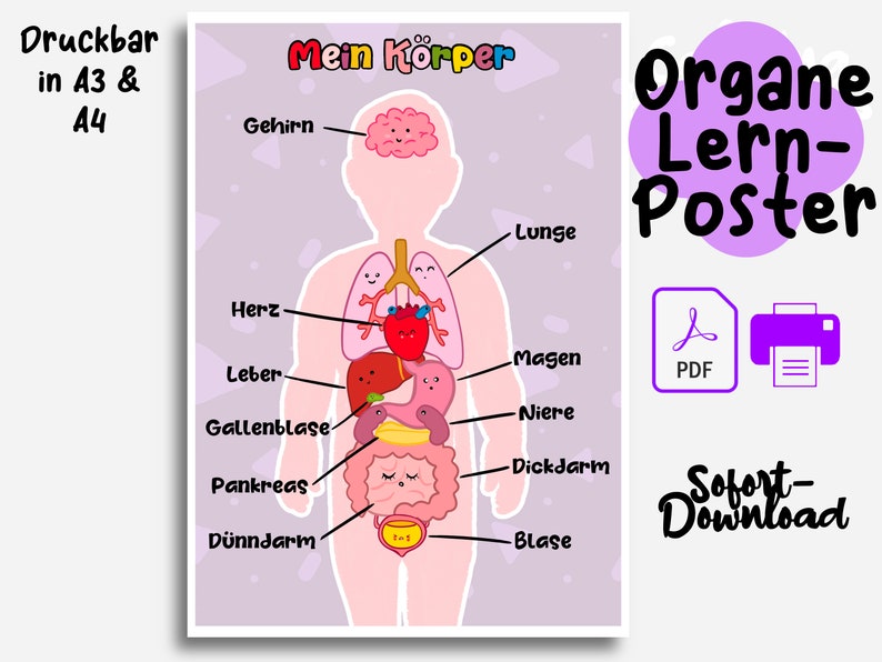 German Body Worksheet Kids Printable Montessori Prints Body Parts ...