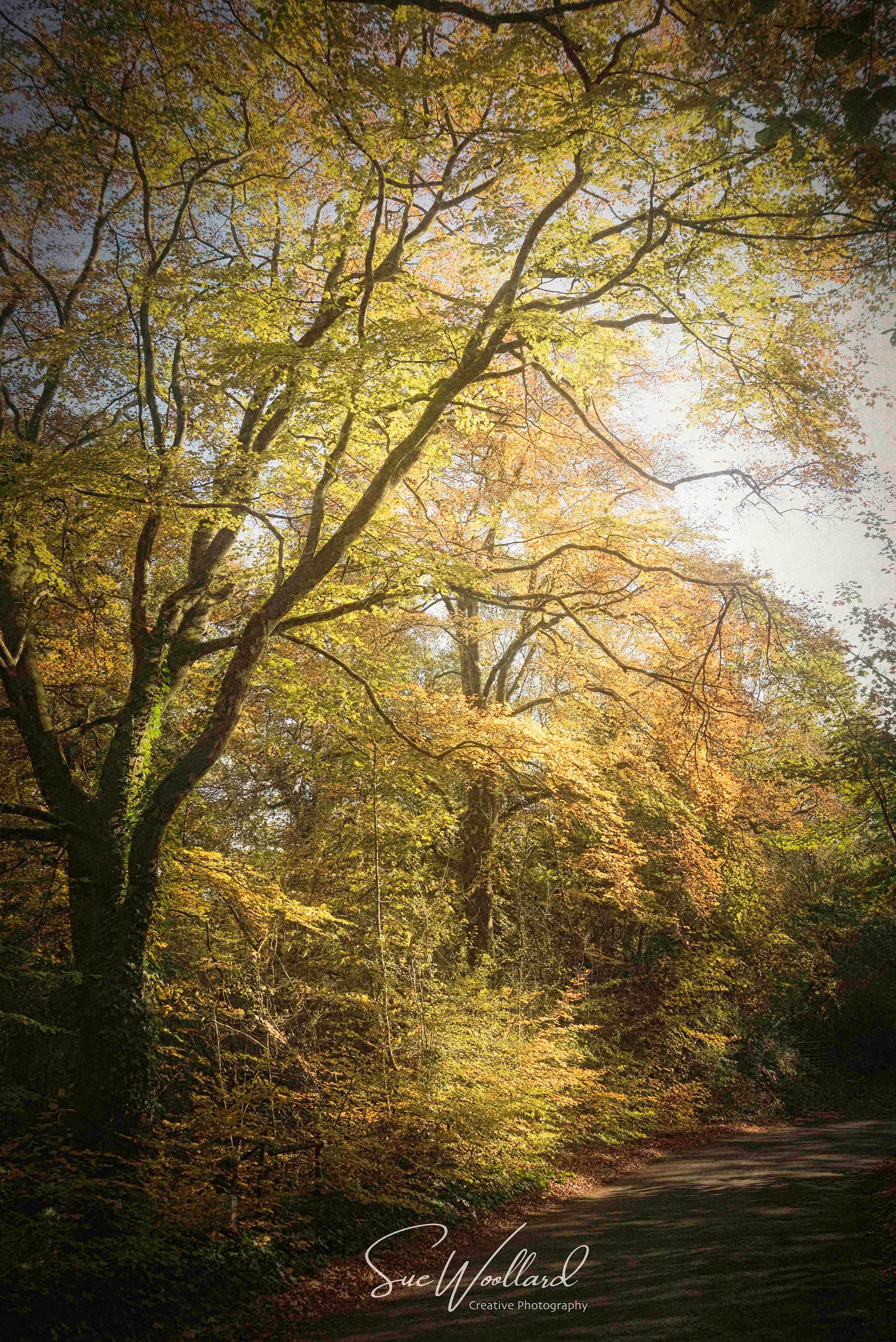 Earth Collection Textures Backdrop Background Scrapbooking - Etsy UK