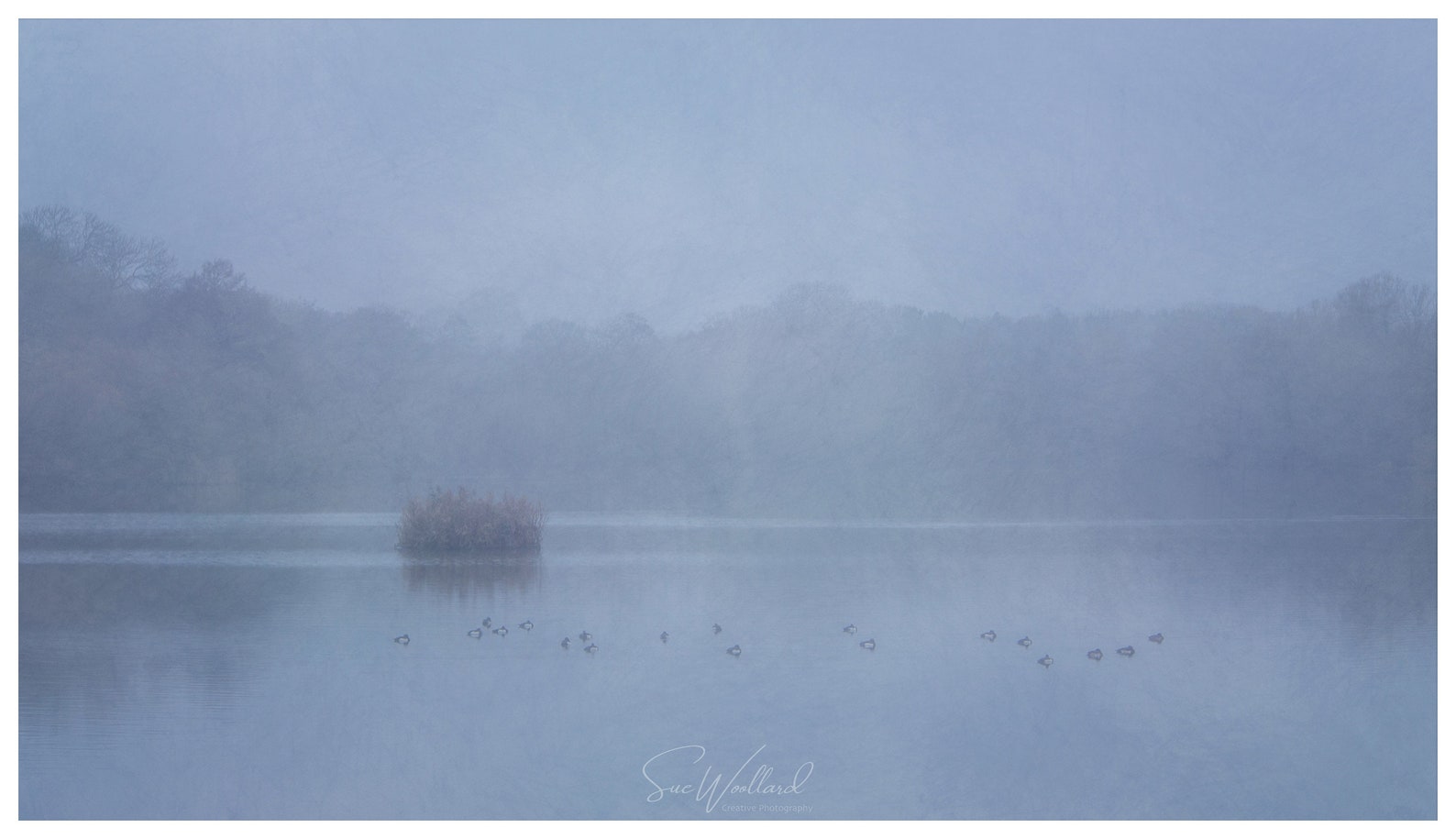 Scratch Collection 8 High Res Textures, Overlays, Background, Backdrop ...