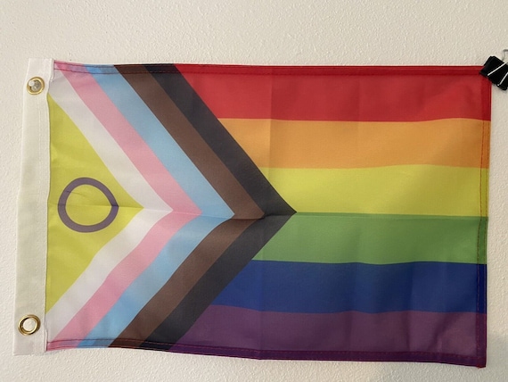 Inclusive Pride Flag 12 X 18 Pride Flag LGBT - Etsy
