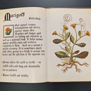 Kingdom Come Deliverance Potion Book Henry Alchemy Recipes KCD2 Journal ...