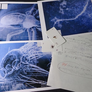 Spiderman File Peter Parker S.H.I.E.L.D. Folder Secret Paper Props ...