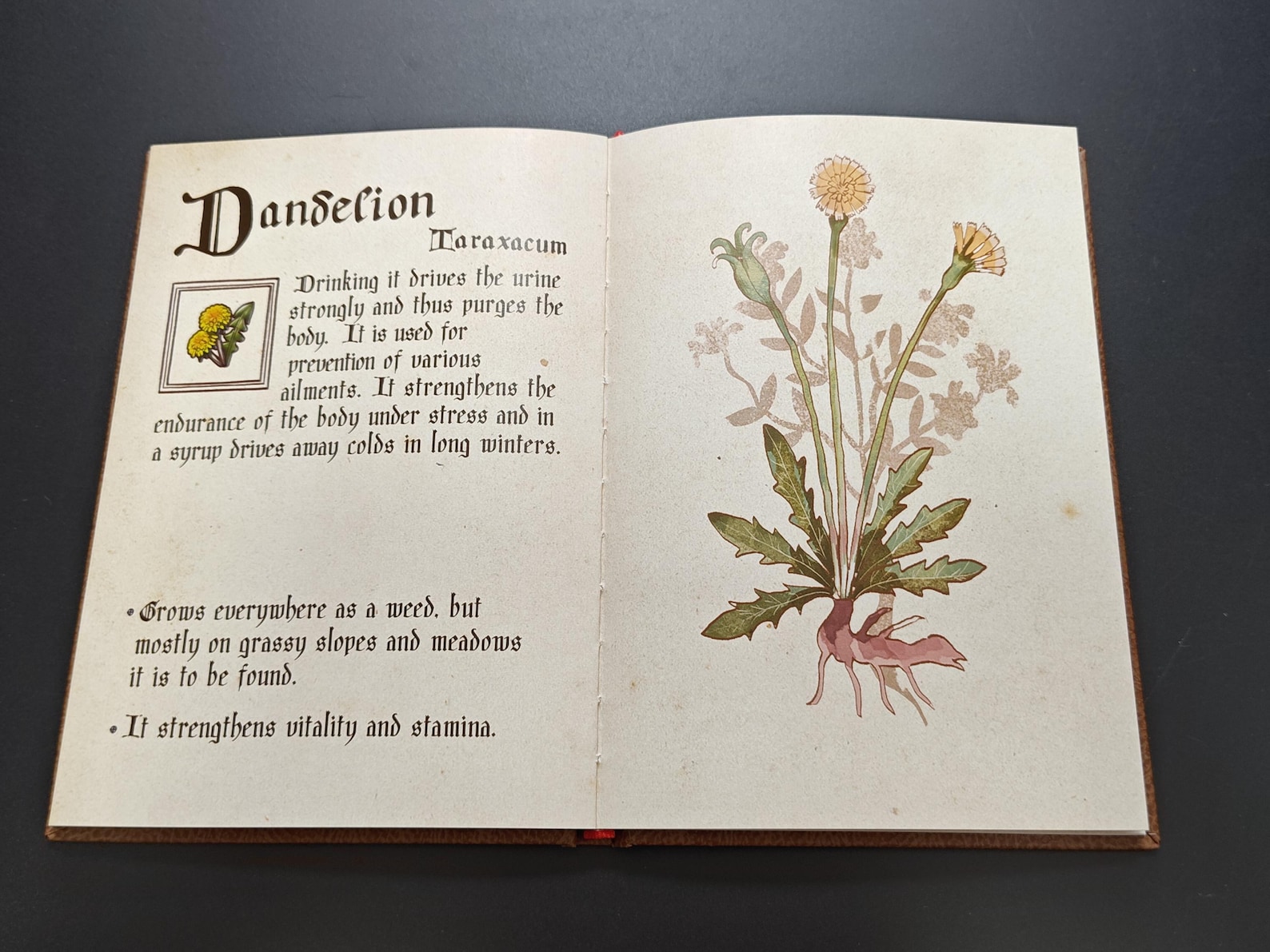 Kingdom Come Deliverance Potion Book Henry Alchemy Recipes KCD2 Journal ...