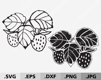 Strawberry SVG Files for Cricut. Berry Svg Dxf. Fruit Cut | Etsy