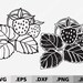 Strawberry SVG Files for Cricut. Berry Svg Dxf. Fruit Cut Files ...