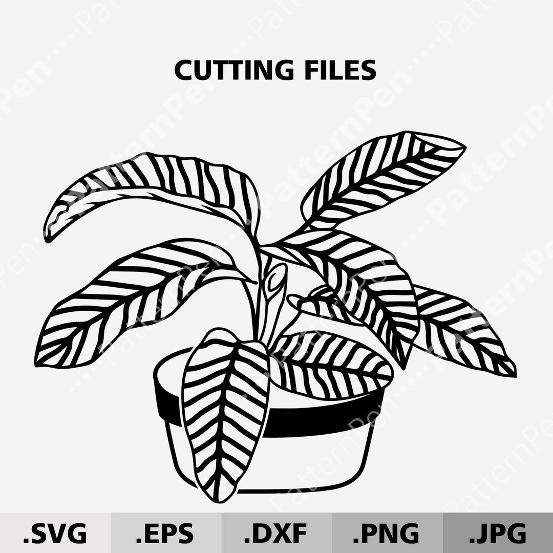 Plants SVG Files for Cutting Cricut Silhouette. Calathea Digital ...