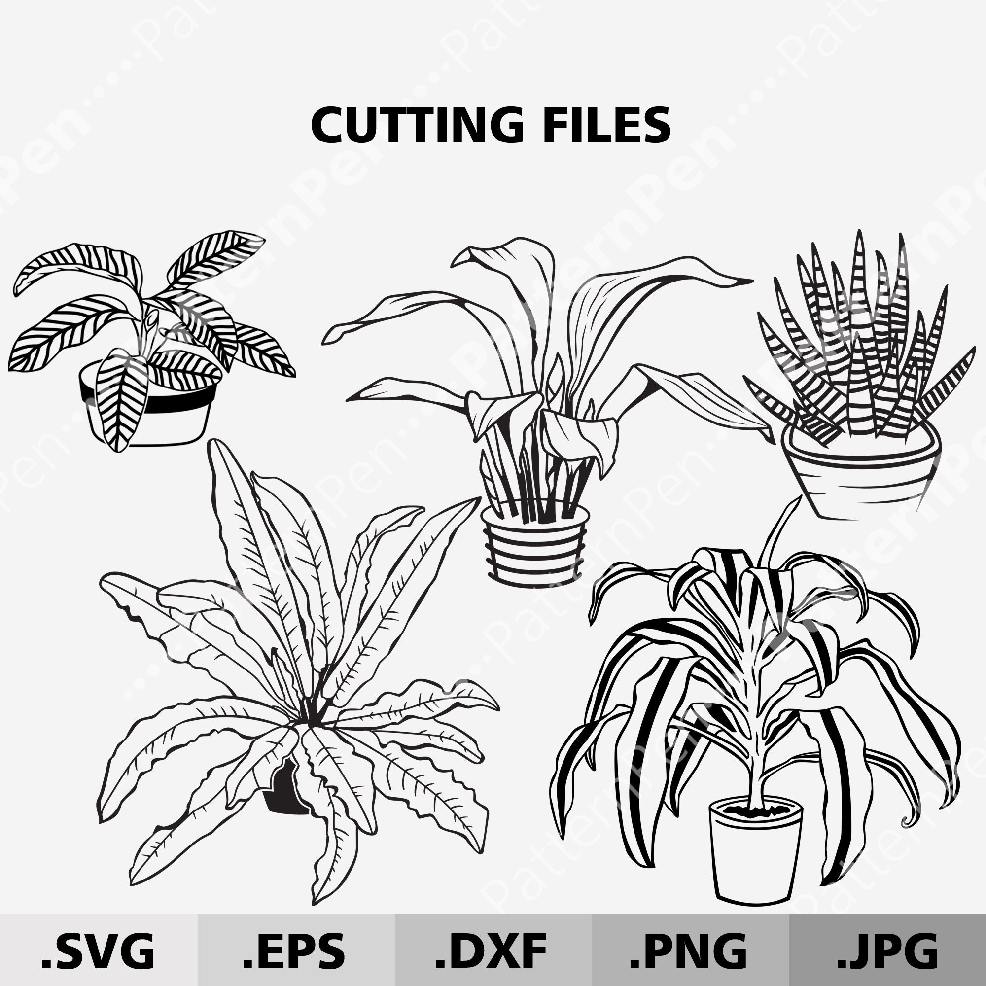 Plants Bundle SVG Files for Cricut. Houseplants SVG Digital Download ...
