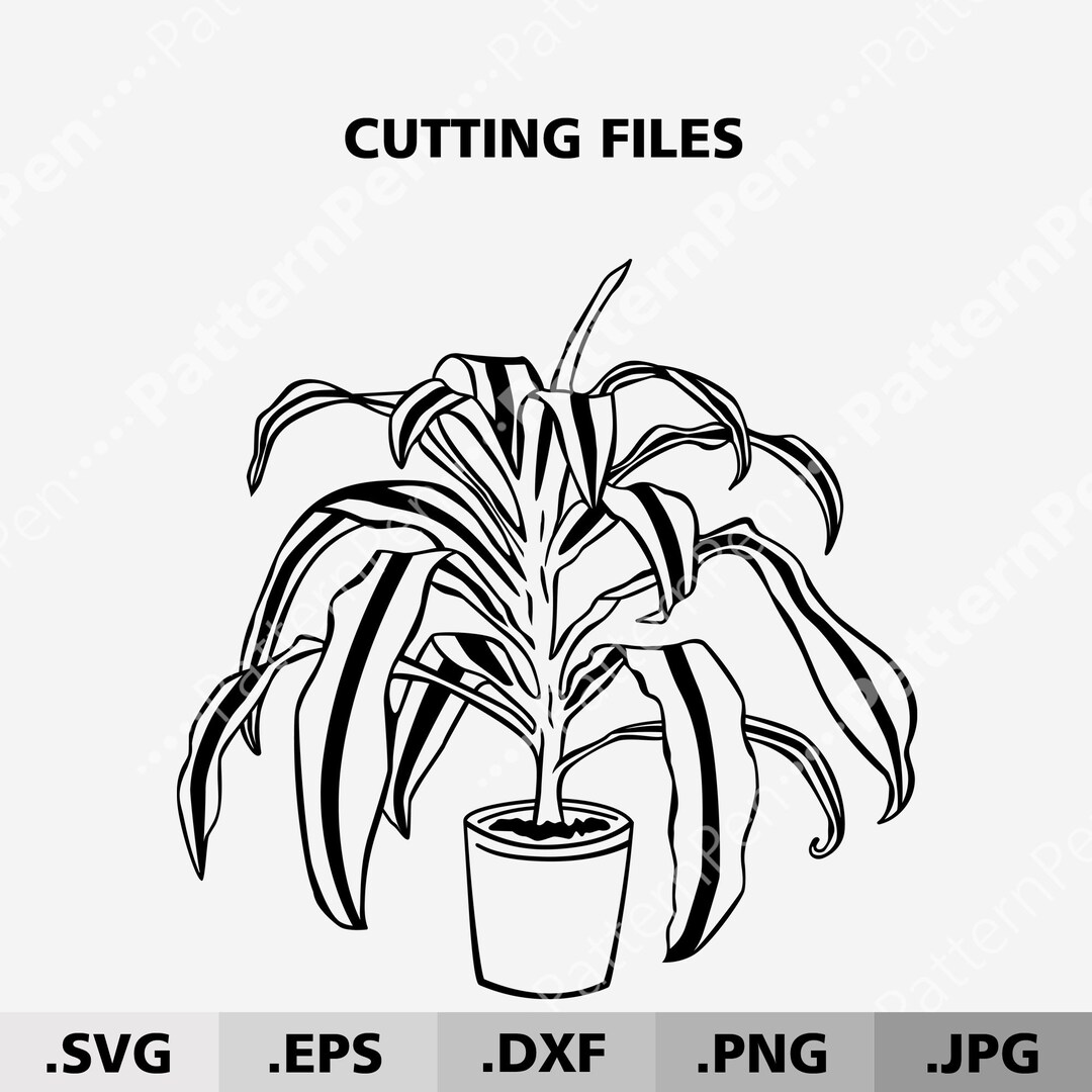 Plant SVG Files for Cricut. Houseplant Flower SVG. Plant Lover Svg ...