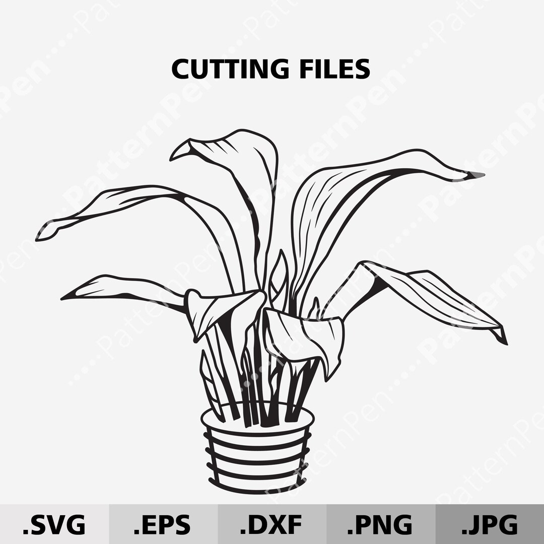 Plant SVG Files for Cricut. Houseplant Flower SVG Digital Download for ...