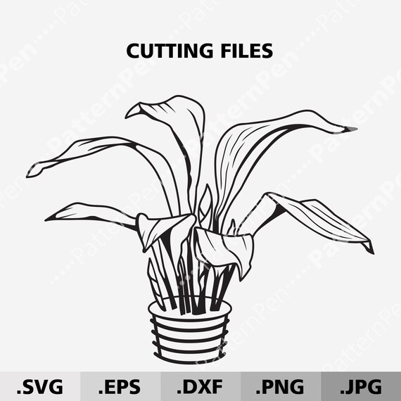 Plant SVG Files for Cricut. Houseplant Flower SVG Digital - Etsy