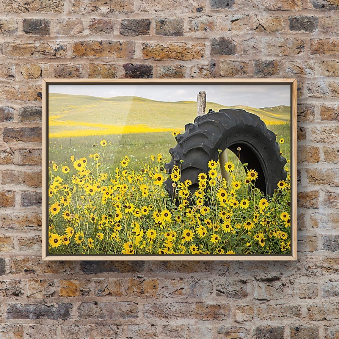 Sunflower Tire - Etsy