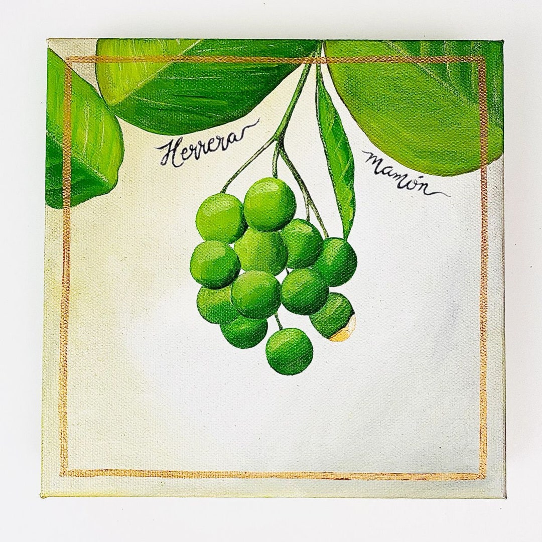 Mamón Herrera Frutas De Panamá - Etsy