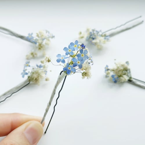 Forget Me Not Flower Hair Pin Bridal Hair Flowers Pin Dried - Etsy