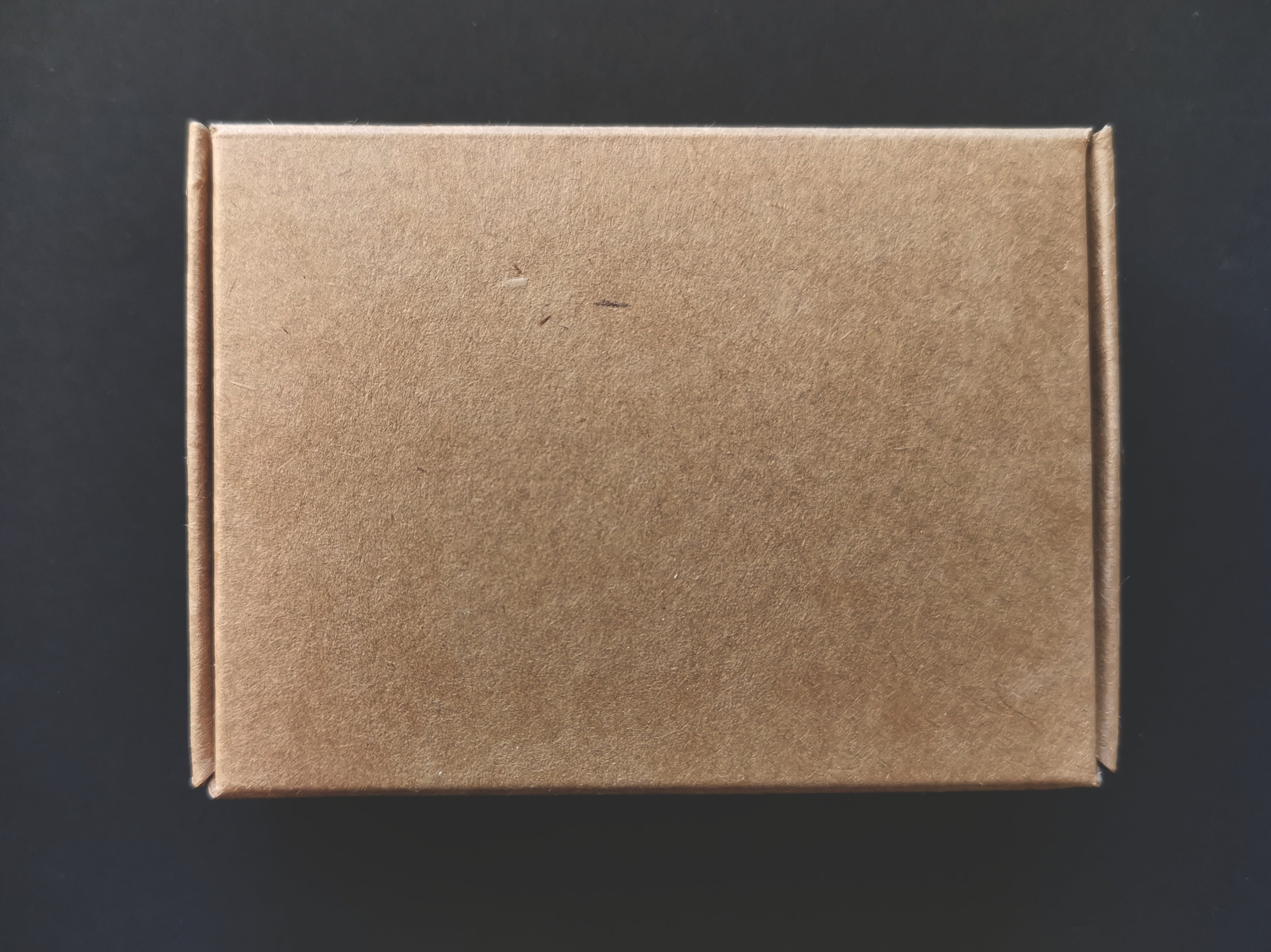 10 Pieces Dried Forget Me Not Flowers Dried Flowers for Resin - Etsy