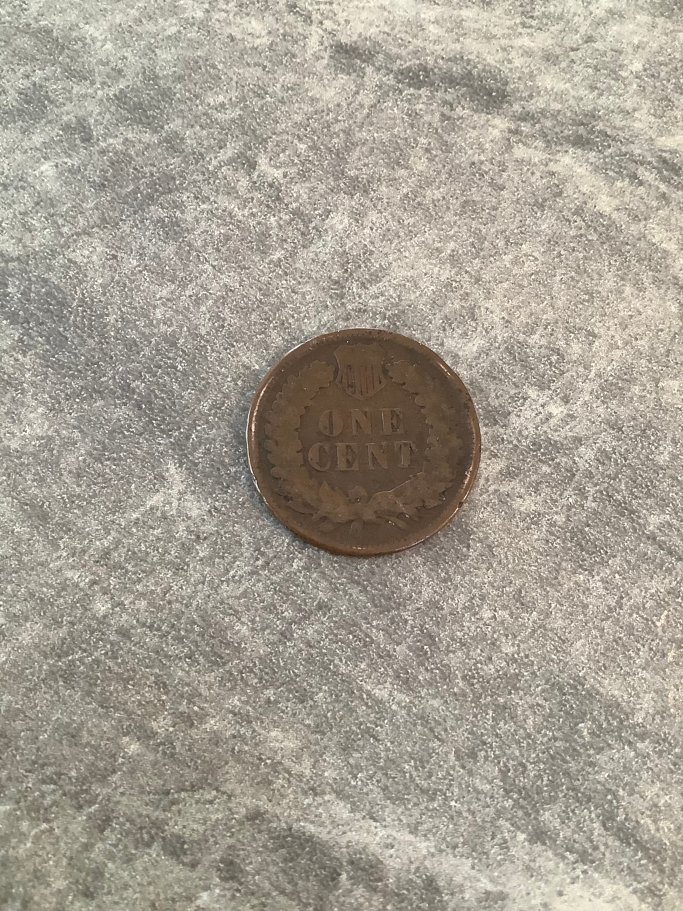 1895 Indian Head Penny - Etsy