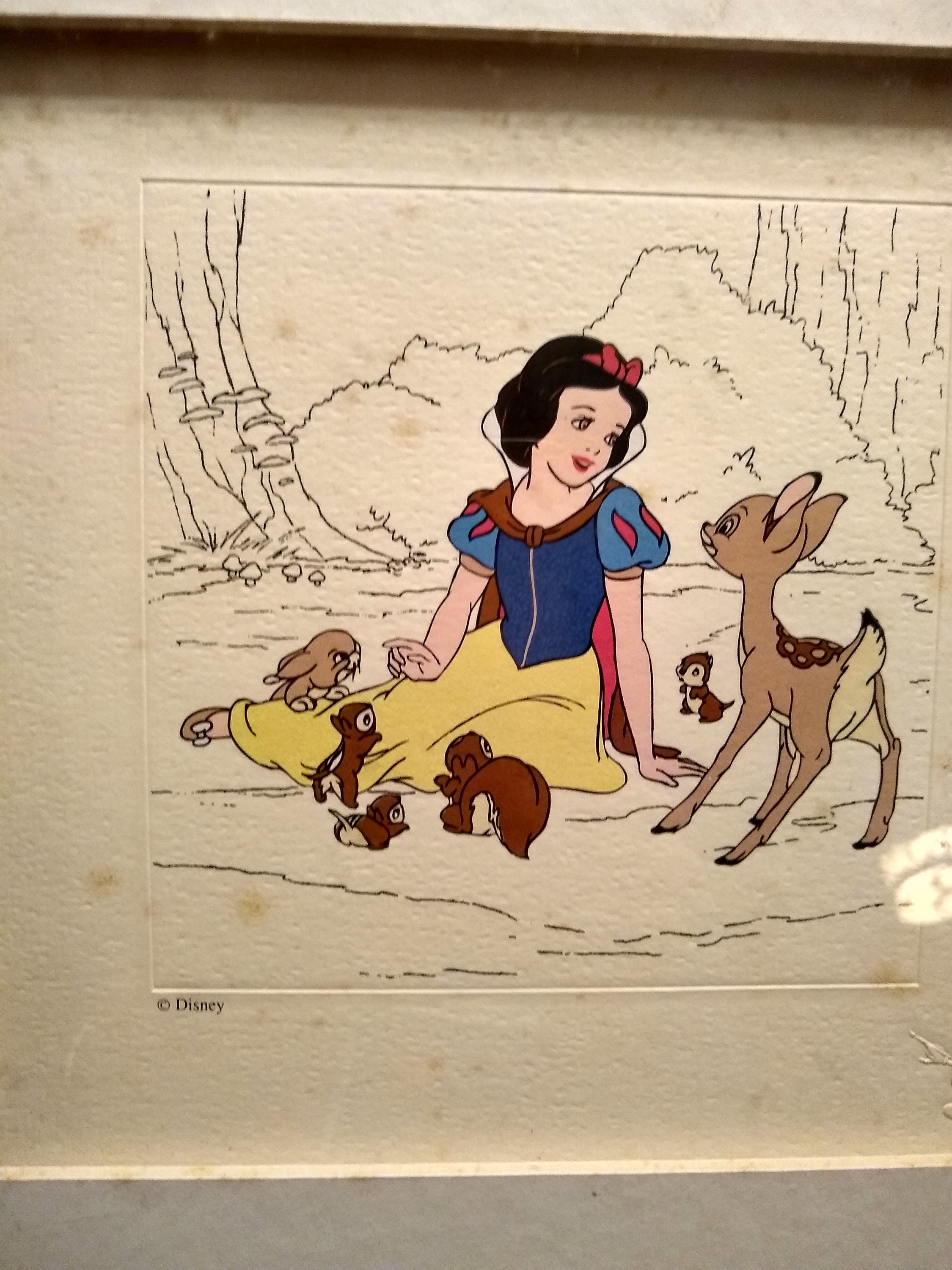 Disney Snow White and Animals - Etsy