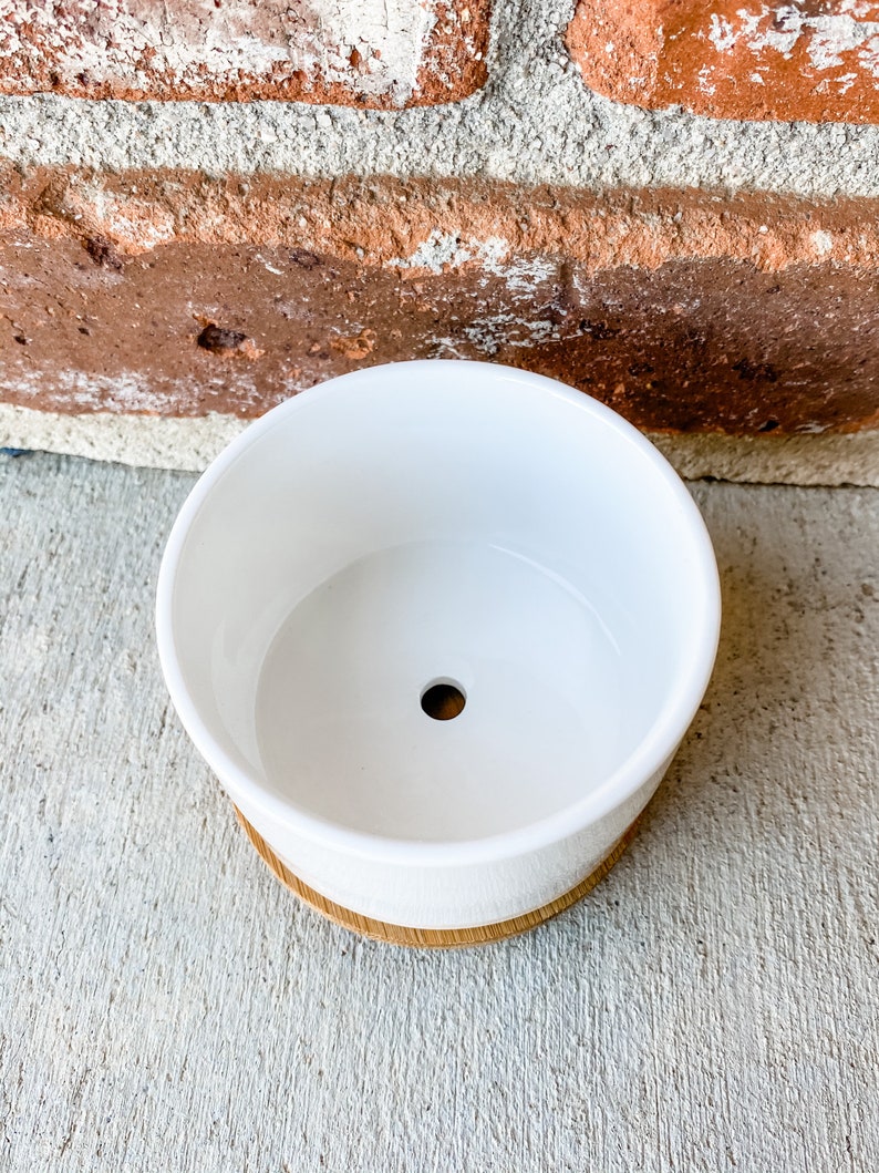 I'm Not A Regular Mom, I'm A Plant Mom Planter Pot, Small White Ceramic ...