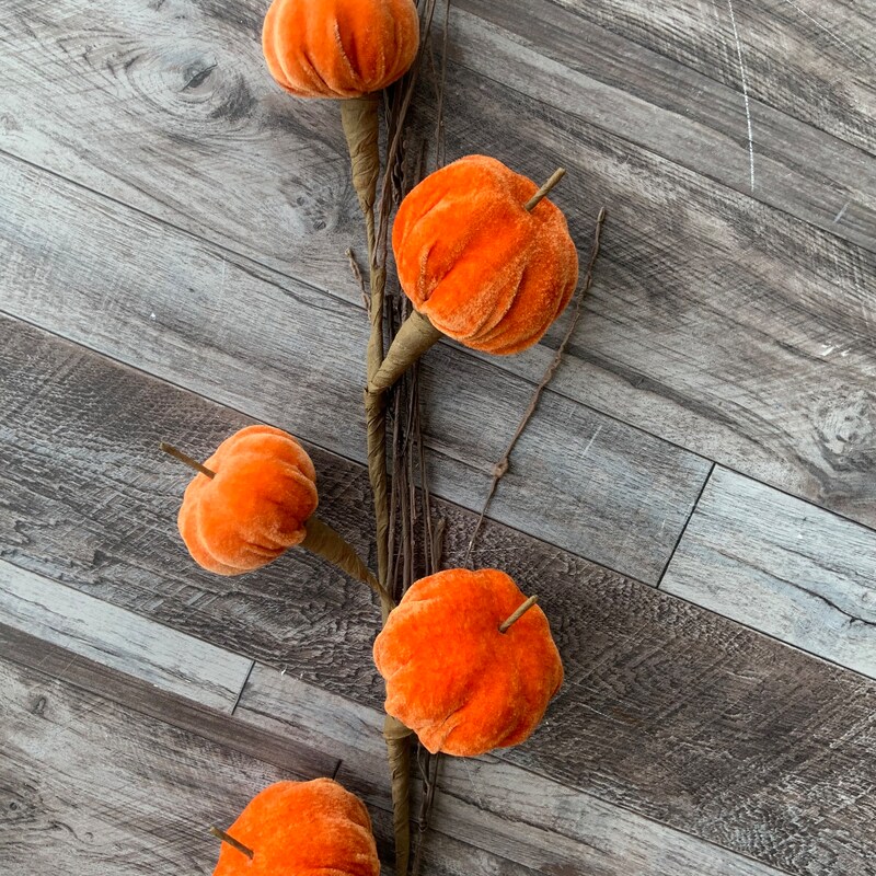 Pumpkin Stems - Etsy