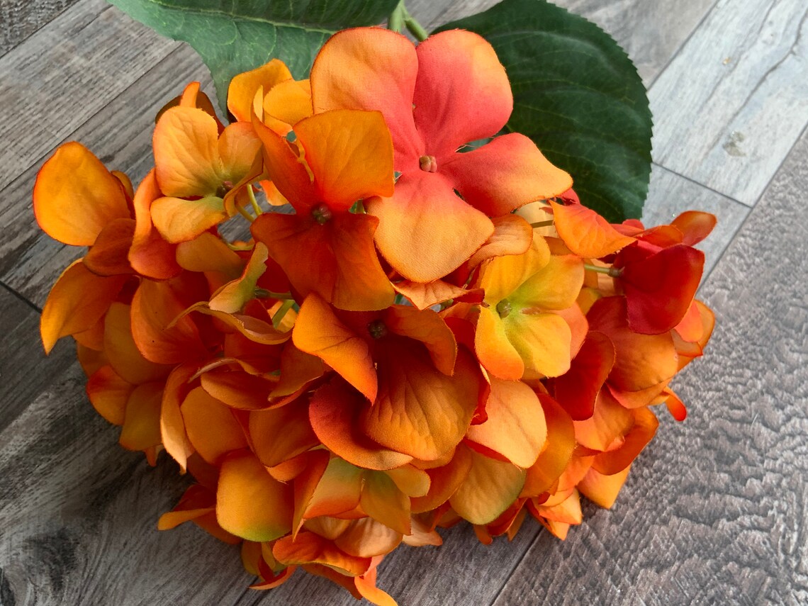 Hydrangea Floral Orange Stem Floral Stem Hydrangea Stem | Etsy