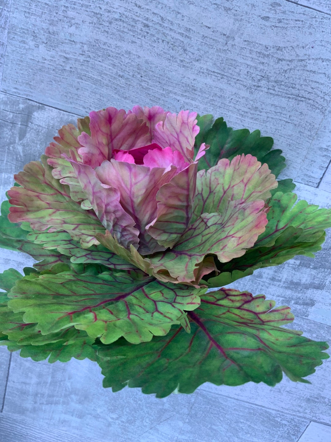 Kale, Decorative Kale, Green & Pink Kale, Kale Pick, Floral, 7.25 ...