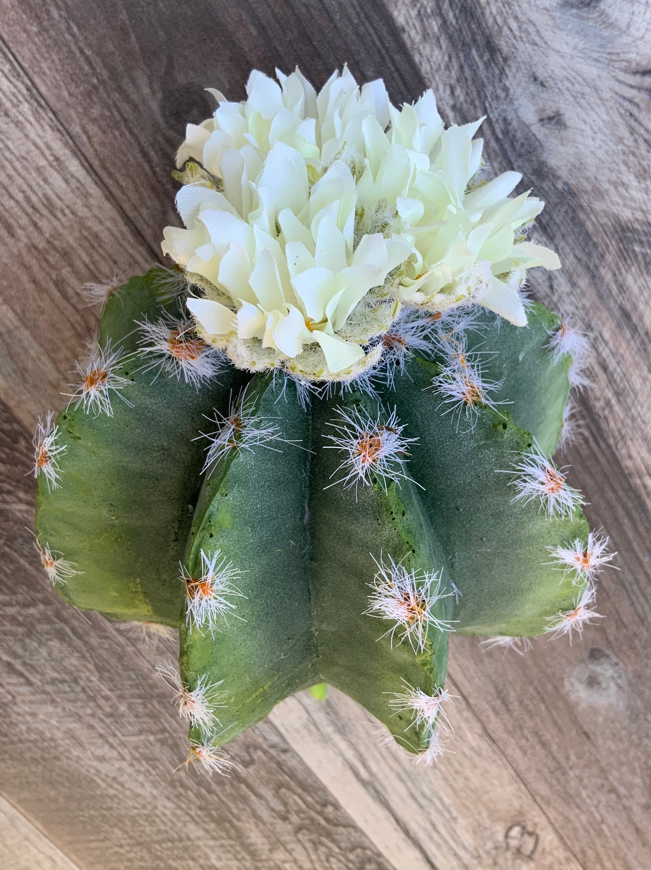 Cactus Cactus Bloom White Blooms Cactus Pick Floral Pick | Etsy