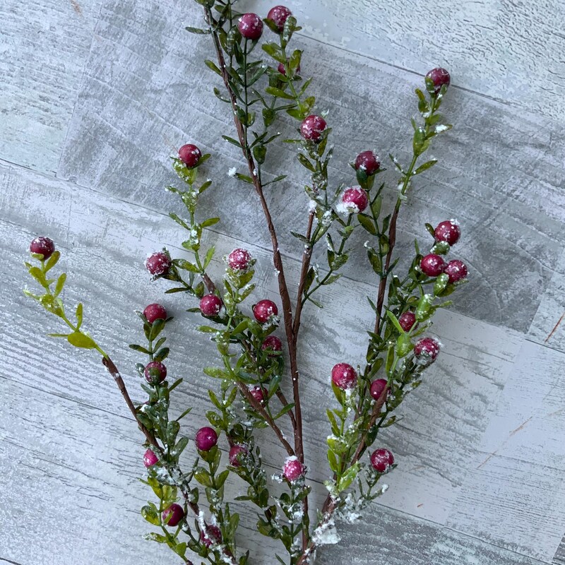 Red Berry Stems - Etsy