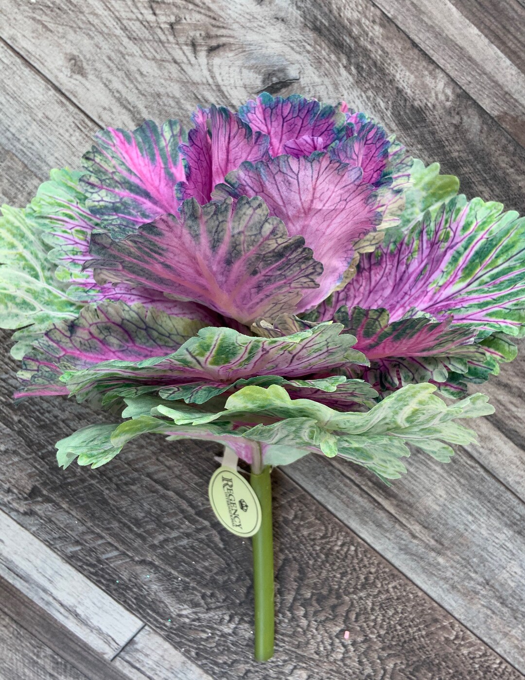 Kale, Decorative Kale, Green & Purple Kale, Kale Pick, Floral, 7.25 ...