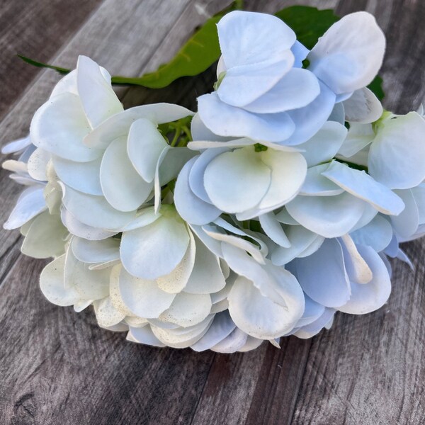 Blue Hydrangea - Etsy