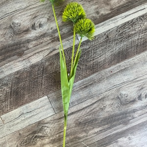Green Flower Stem, Green Ball, Green Ball Flower Stem, 26” - Etsy