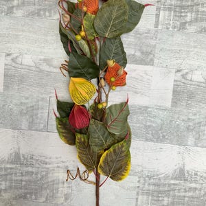 Berry Stem, Fall Chinese Lantern Berry Stem, Floral Stem, Fall, 43” - Etsy