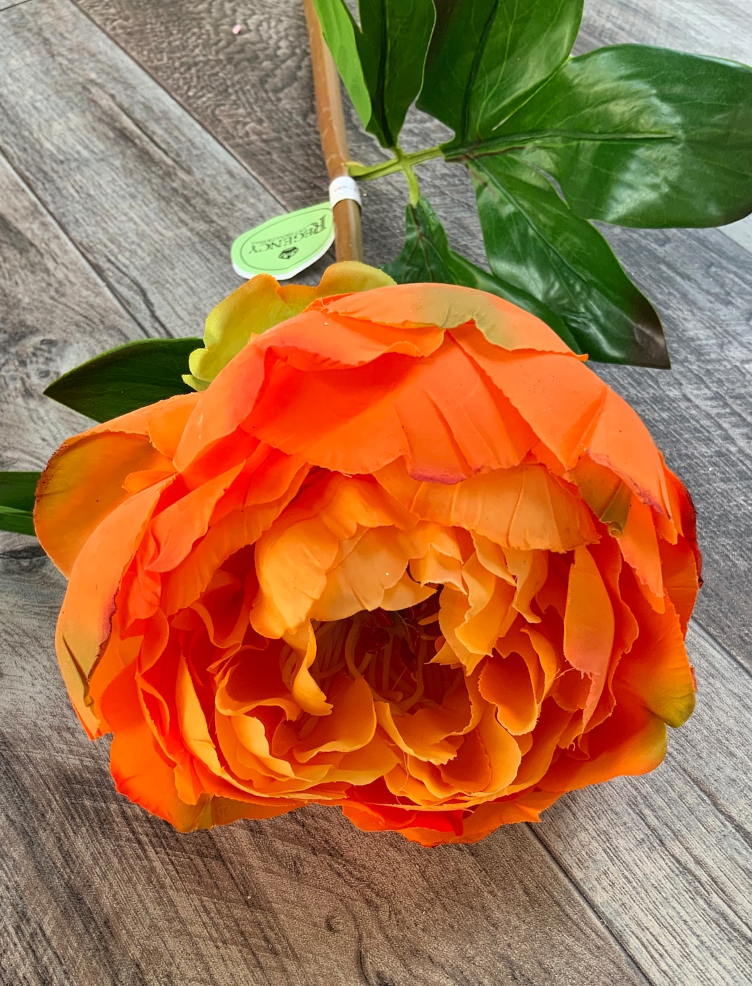 Peony, Orange Peony, Floral Stem, Regency, 22” - Etsy