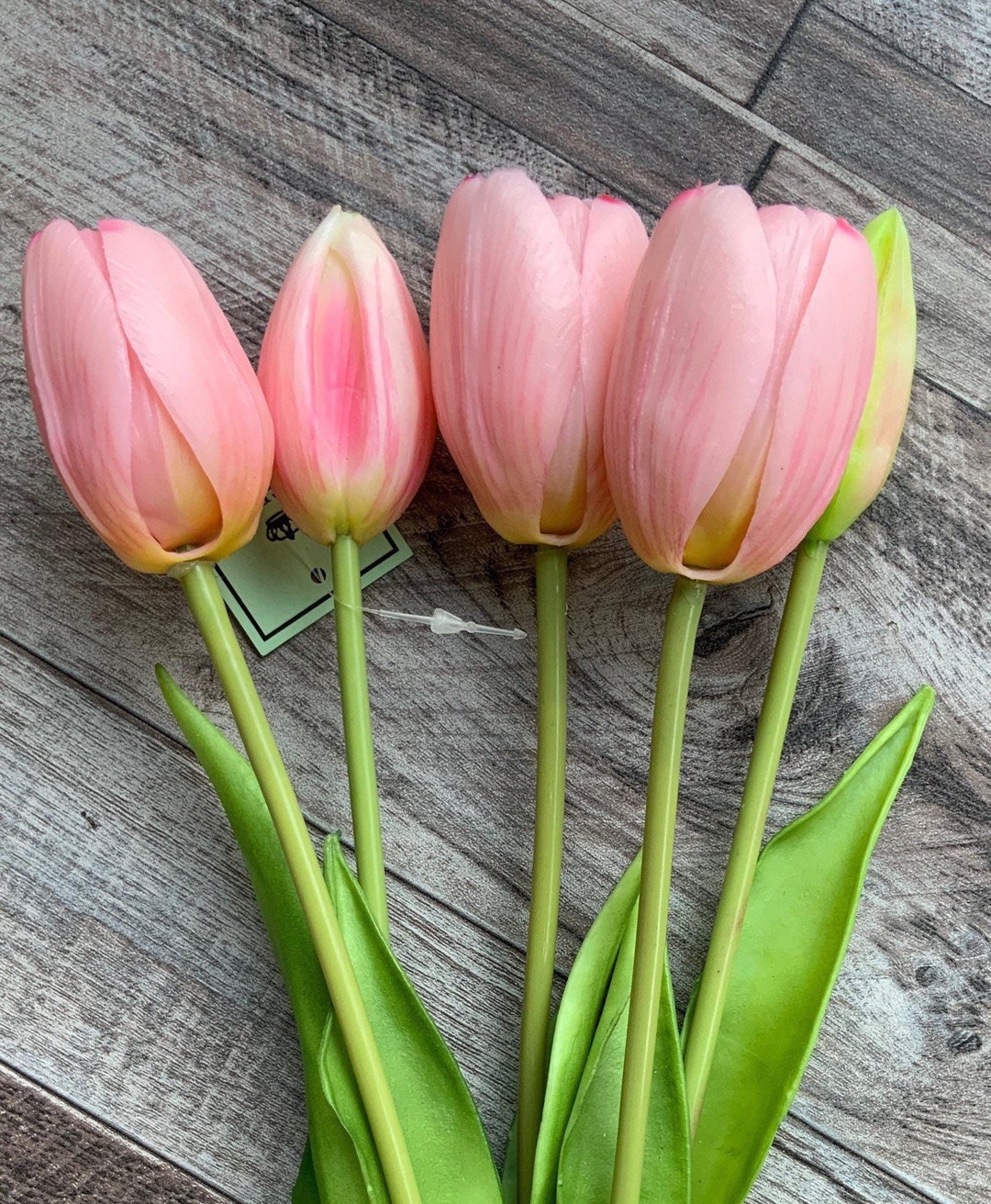 Tulip, Tulip Bundle, Blush, Real Touch, Soft Touch, Regency, 15.25” - Etsy