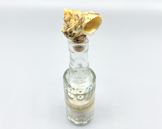 Nautical Sea Glass Bottle Mini Seashell Bottleocean in a Bottleunique ...