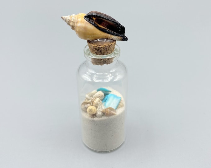 Nautical Sea Glass Bottle Mini Seashell Bottleocean in a Bottlebeach ...