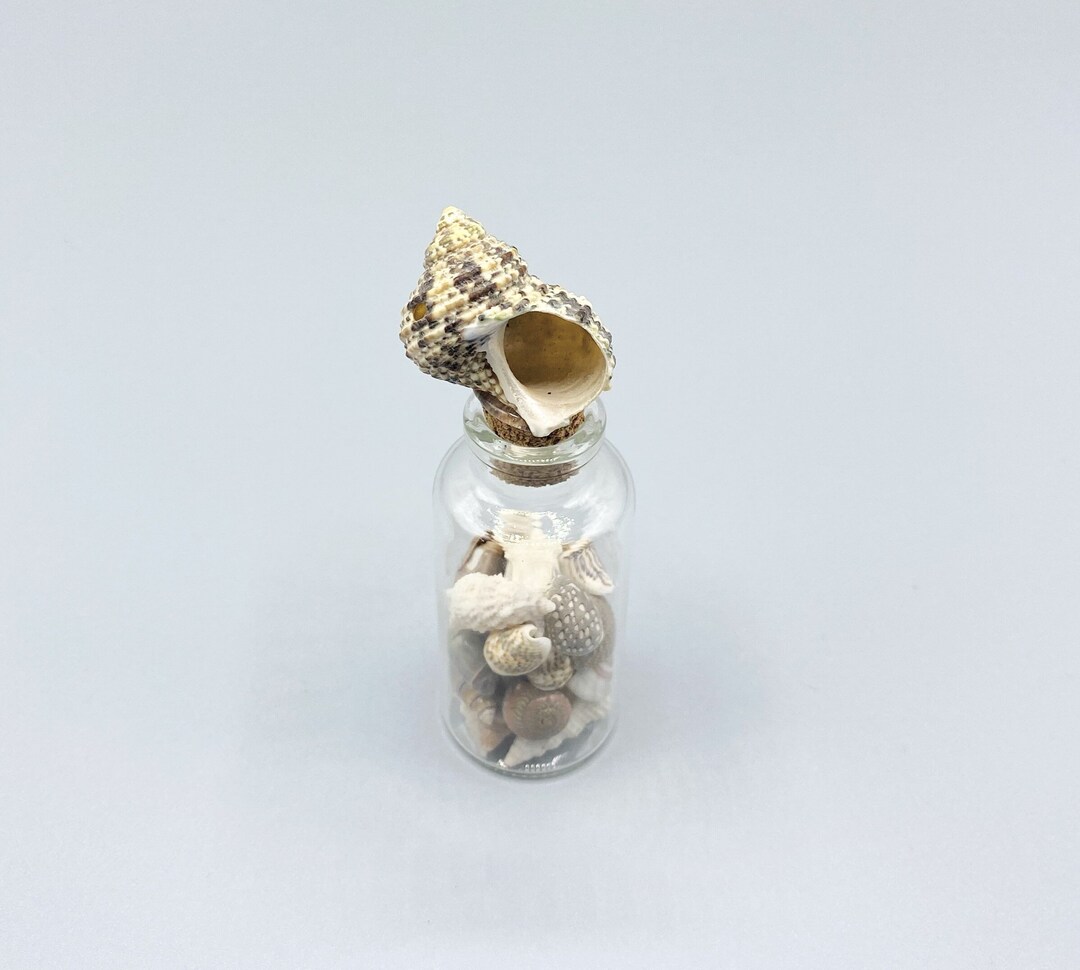Nautical Sea Glass Bottle*mini Seashell Bottle*ocean in a Bottle ...
