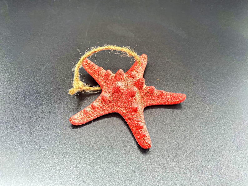 Sea Star Ornament*coastal Christmas Decor*red Painted Starfish*beach ...